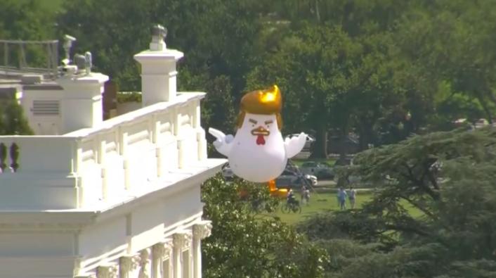 Massive Inflatable Trump-like Chicken Spotted Outside of the White House