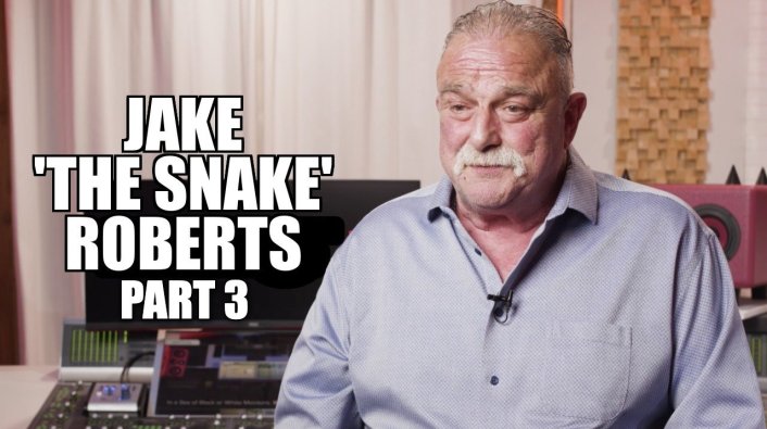 EXCLUSIVE: Jake The Snake on Being an Original Member of Legion of Doom ...